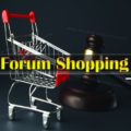 Top Lawyers in India for All Legal Issues & Consultation - Tripaksha ...